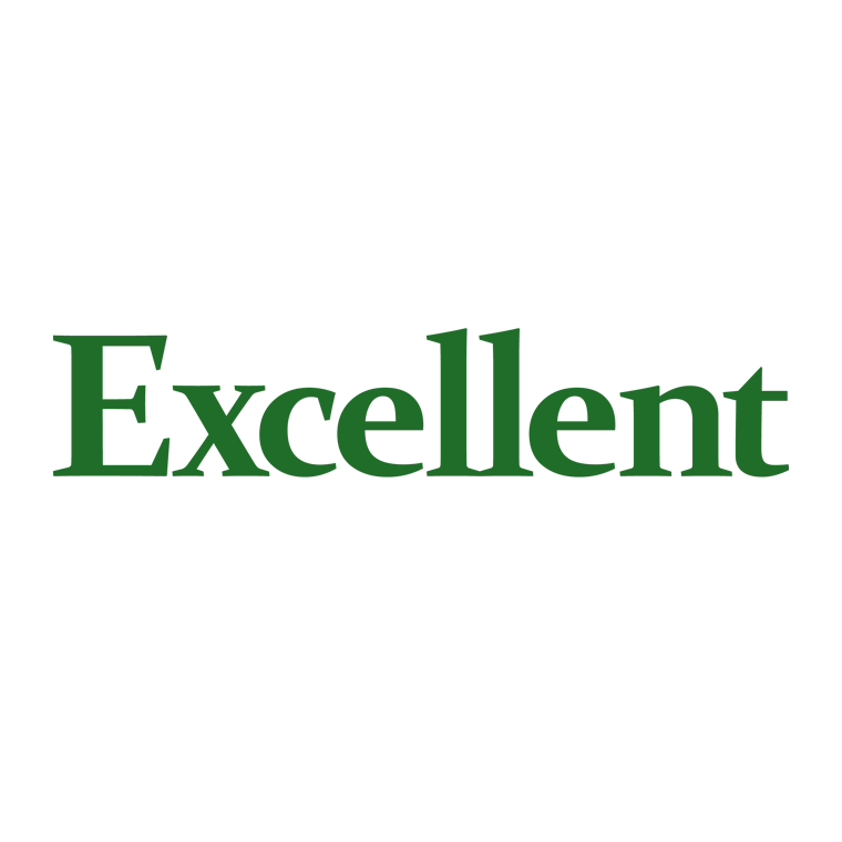 Excellent-Excelの一機能のように使える簡単・安心なBIツール